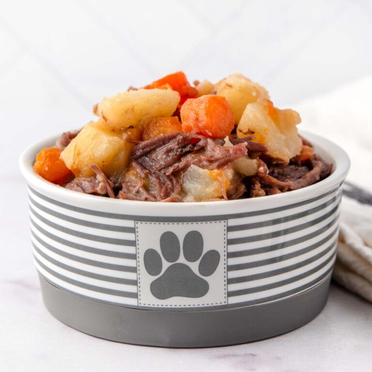 Homemade Pot Roast for Dogs