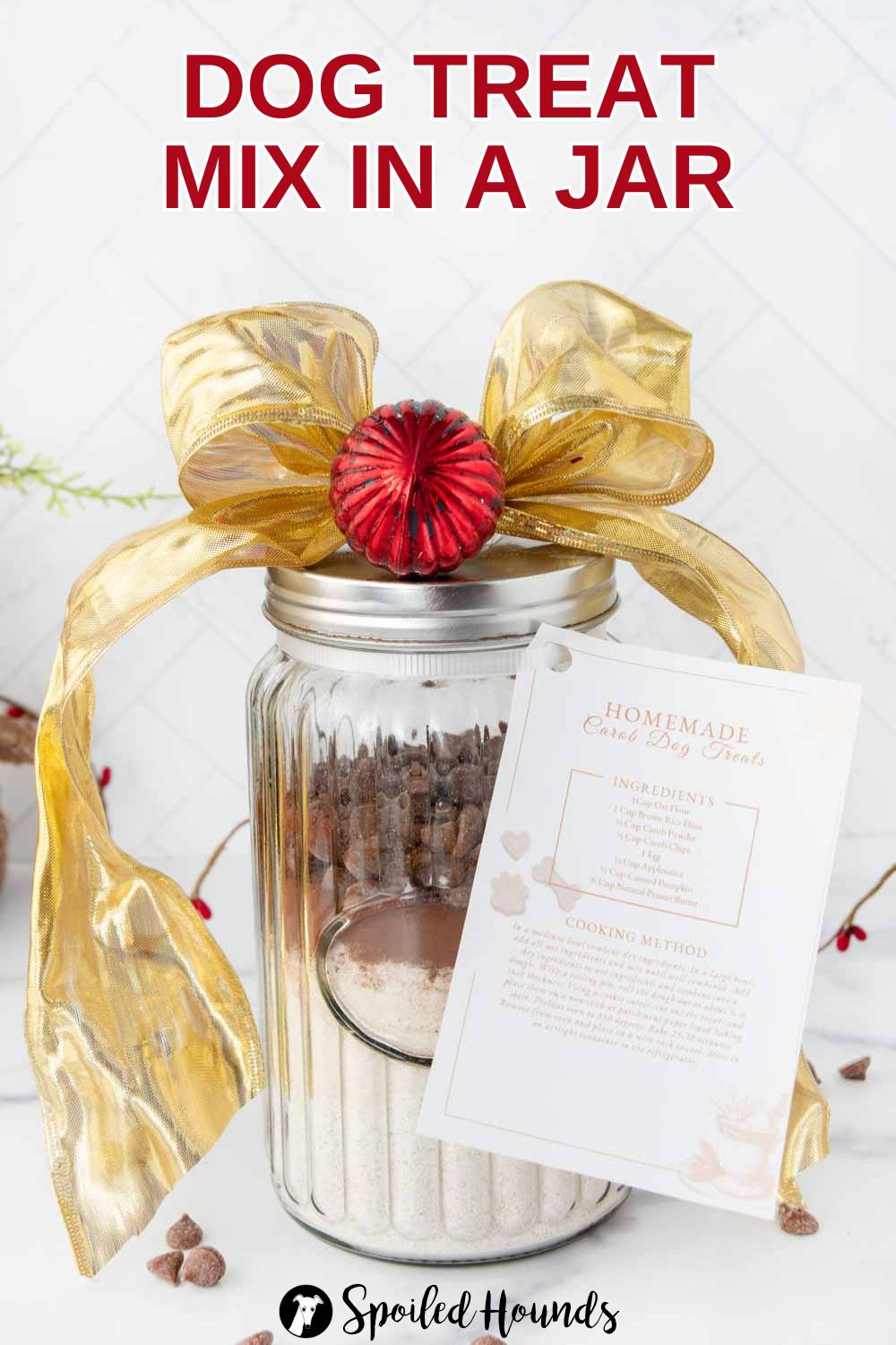Homemade Dog Treat Mix in a Jar