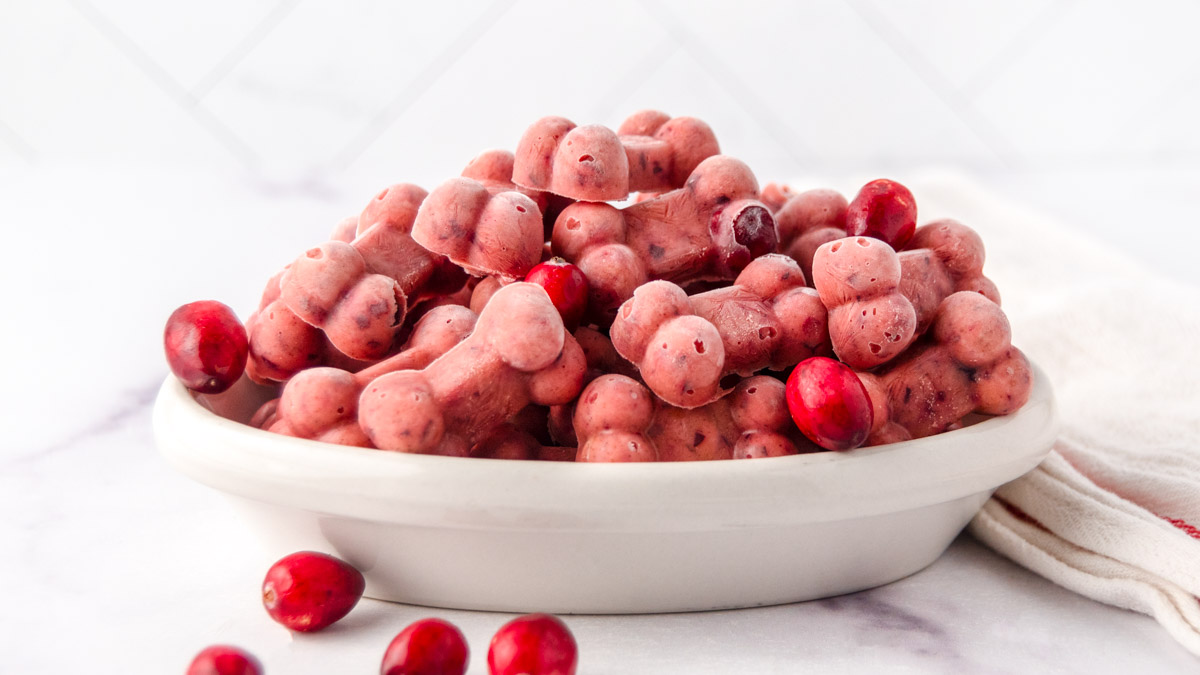 Frozen Cranberry Dog Treats - Easy Recipe with Yogurt and Pumpkin