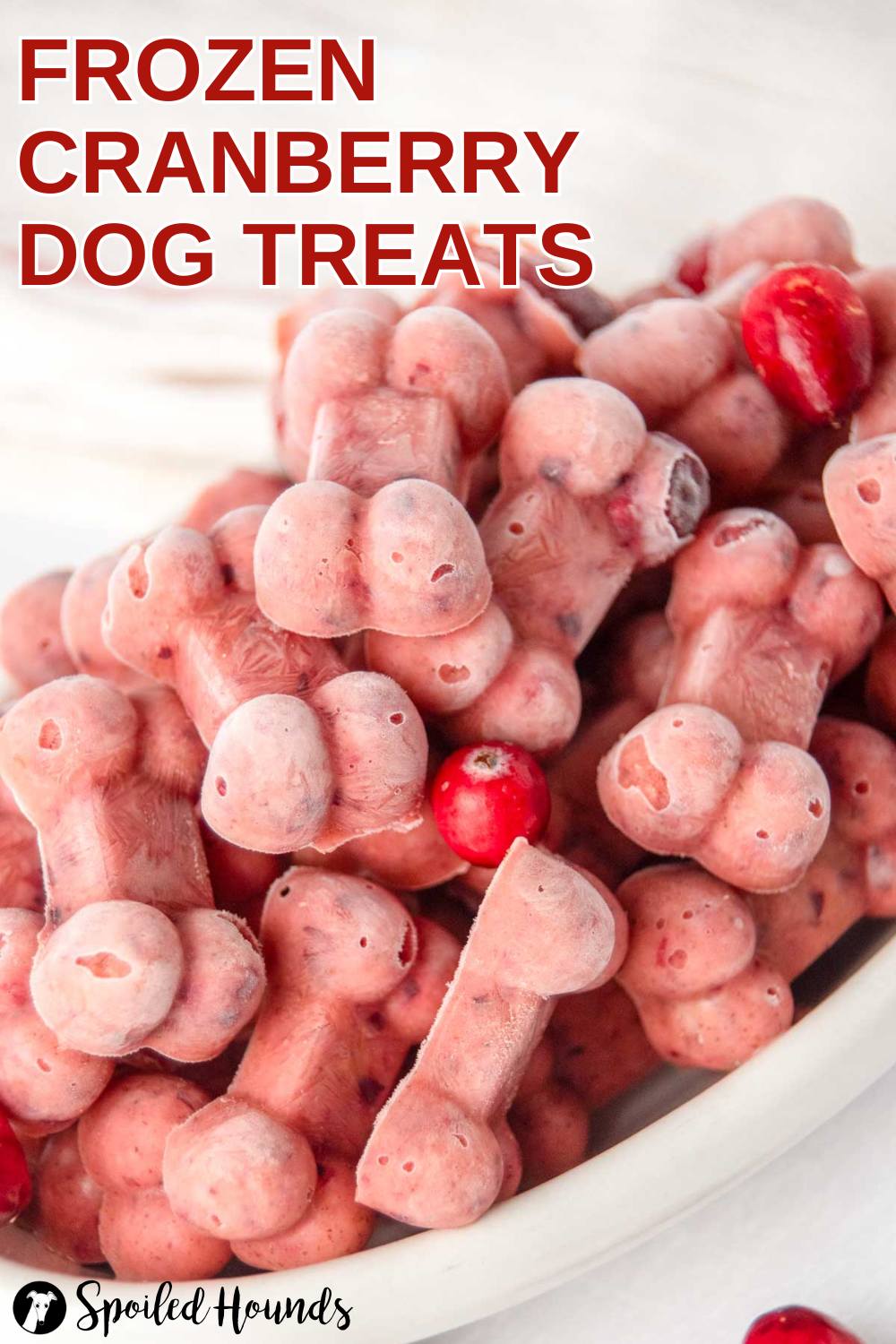 Frozen Cranberry Dog Treats - Easy Recipe with Yogurt and Pumpkin