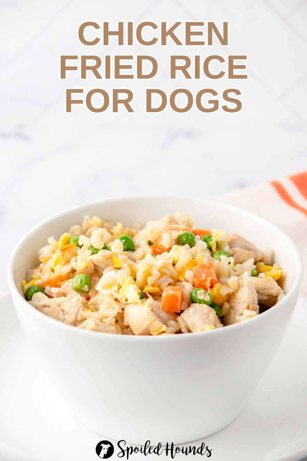 Fried Rice For Dogs