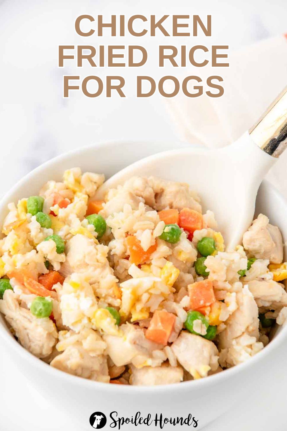 Fried Rice For Dogs