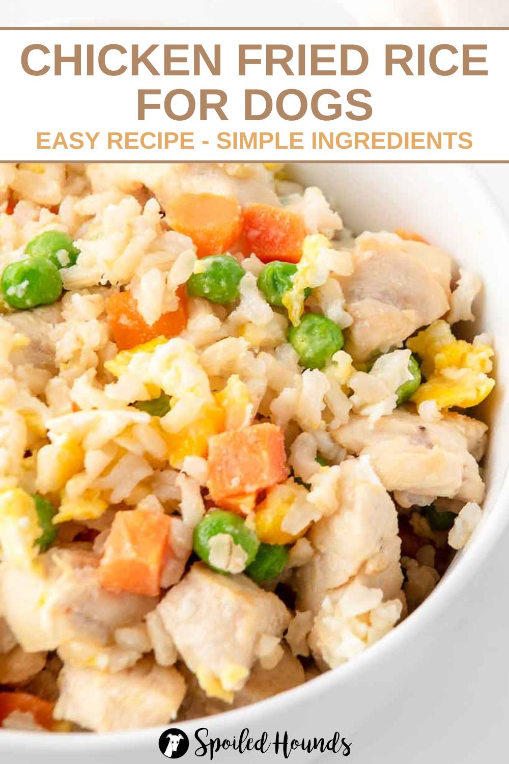 Fried Rice For Dogs