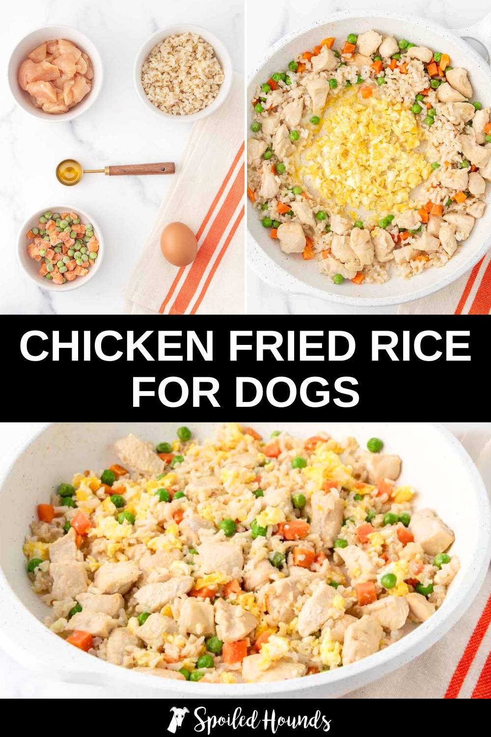 Fried Rice For Dogs