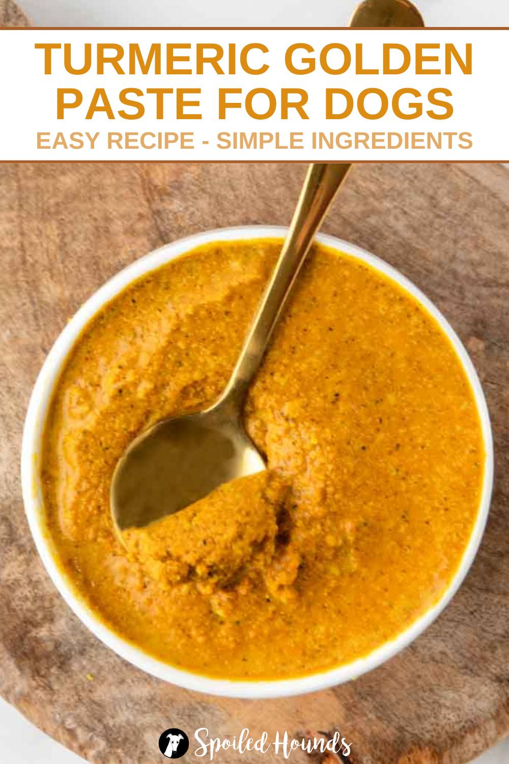 Homemade Turmeric Golden Paste for Dogs - Benefits and Recipe
