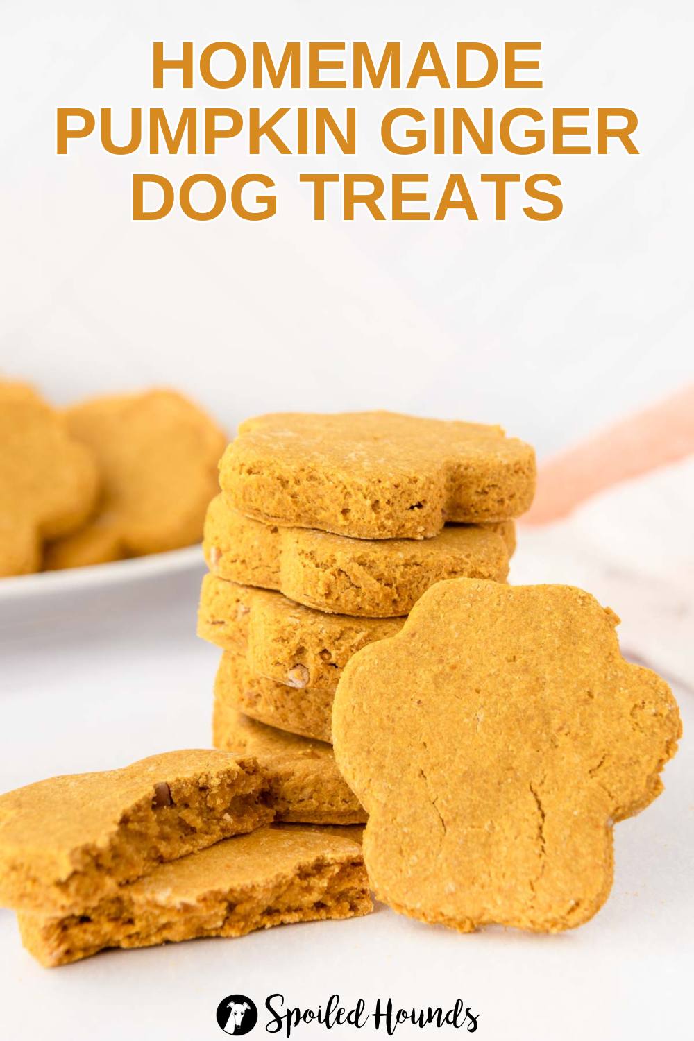 Homemade Pumpkin Ginger Dog Treats (Easy Recipe)