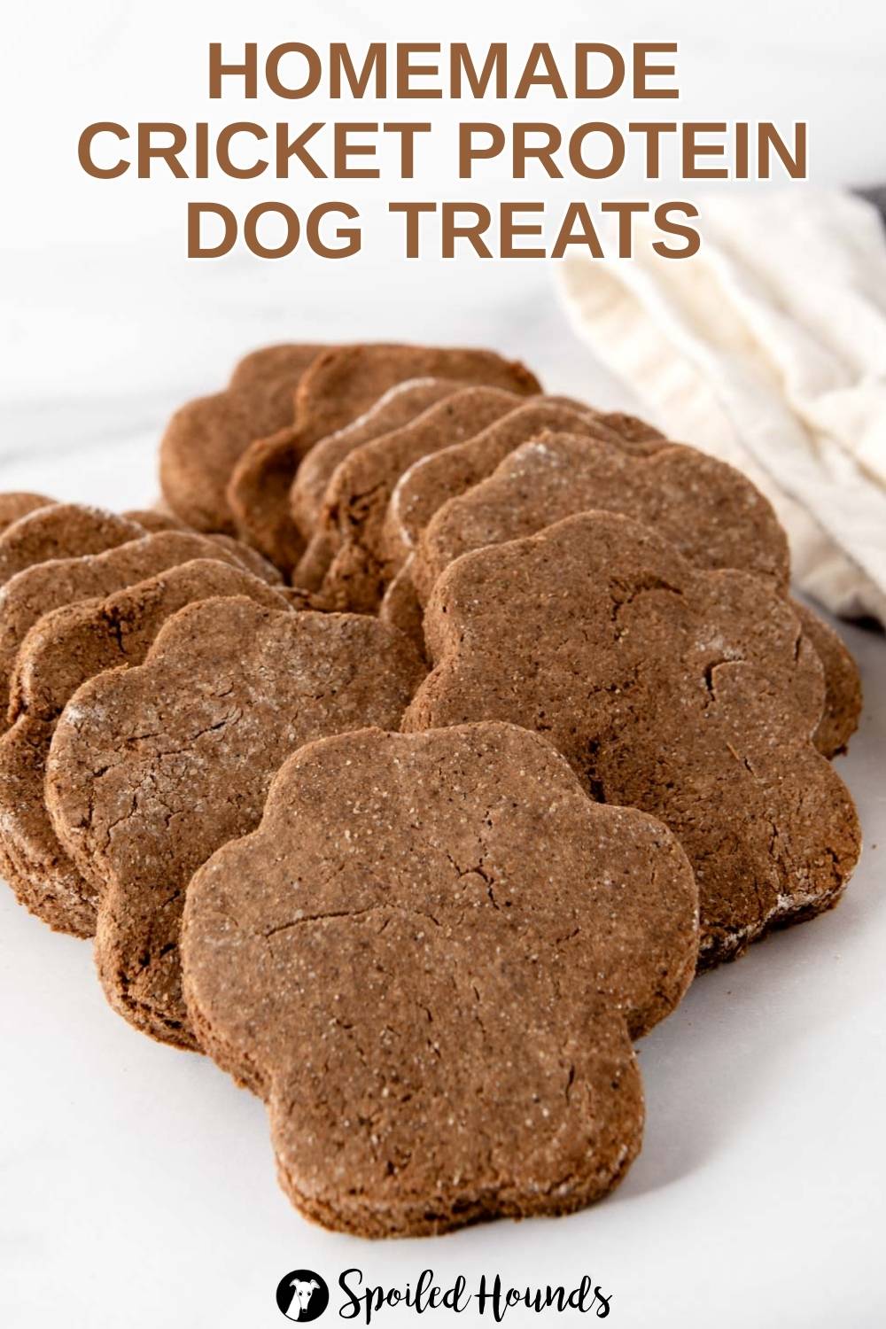 Homemade Cricket Protein Dog Treats (Easy Recipe)