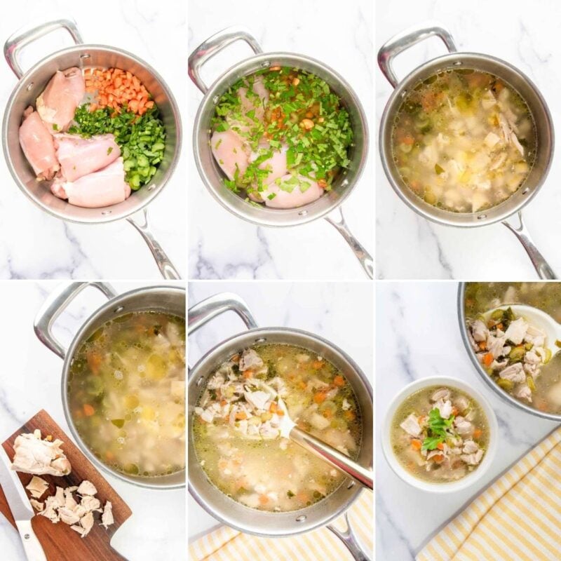 Easy Chicken Soup for Dogs Recipe - Spoiled Hounds
