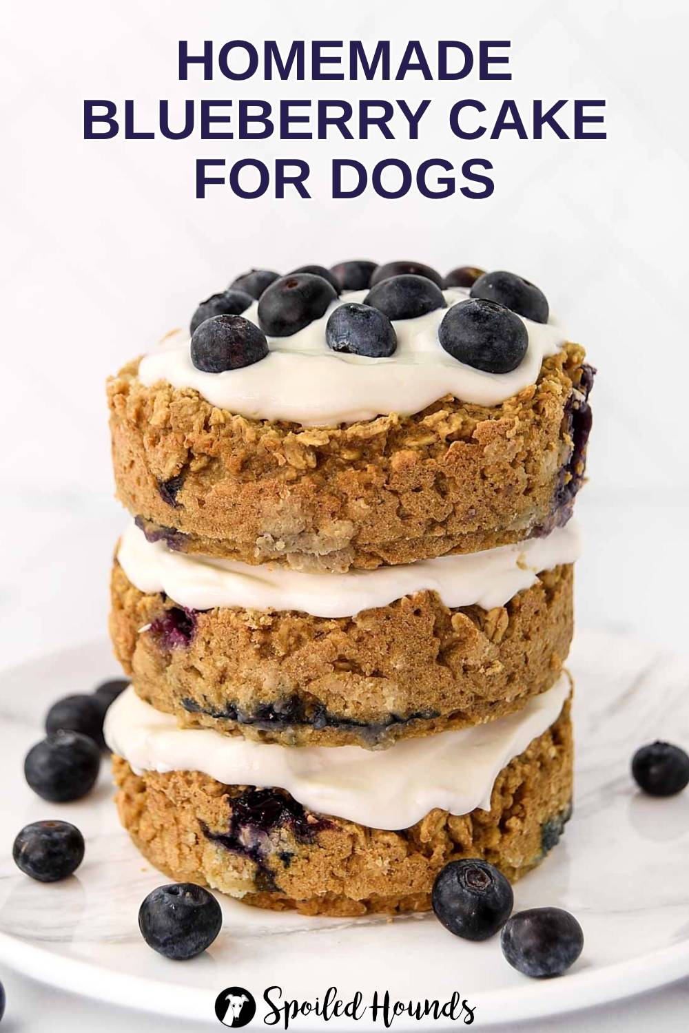Homemade Blueberry Cake for Dogs (Easy Recipe)